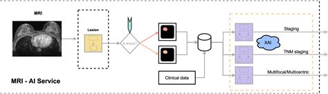 Figure 1 From A Deep Learning Based Diagnostic Framework For Breast Cancer Semantic Scholar