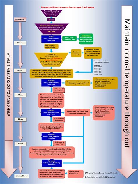 Neonatal Resuscitation Algorithm For Zambia Pdf Breathing