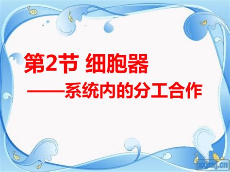 3 2细胞器 系统内的分工合作课件 共33张ppt 2020 2021学年高一上学期生物人教版必修1 21世纪教育网