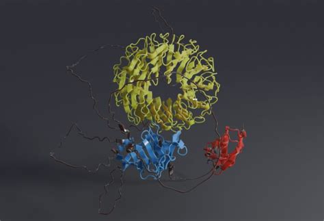 Samee Ullah On Linkedin The Encyclopedia Of Domain Ted Exploring Structural Diversity Across…