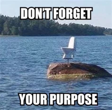 Dont Forget Meme Just Dont Forget To Do 😌😌😌😌 Loveyouall