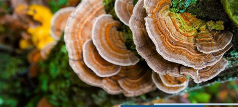 存真生物科技 Purecare