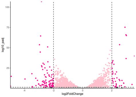 Workshop Data Analysis For Group Project