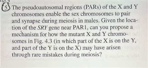 Solved The Pseudoautosomal Regions Pars ﻿of The X ﻿and Y