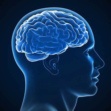 Code Stroke And Level III Stroke Center Designation West Valley