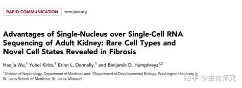 跟着高分sci学作图 复杂热图 渐变色连线 知乎