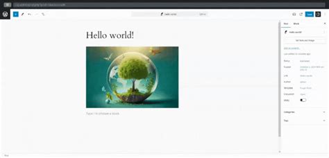 How To Add Css Animations In Wordpress