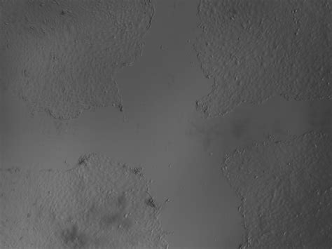 Closure Object Detection Dataset By Samantha Chow