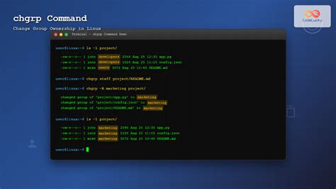 chmod Command in Linux: Complete File Permissions Tutorial with Examples - CodeLucky