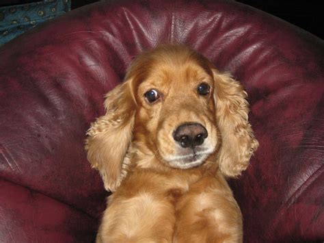 Ritesh Shergill On Linkedin Workhardifyou Getpaidlikeavizier