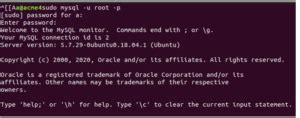 MySQL IF EXISTS How To Use MySQL IF EXISTS With Examples