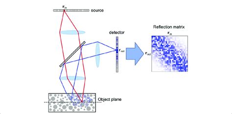 Schematic Of Recording A Reflection Matrix The Light Wave Emanating Download Scientific