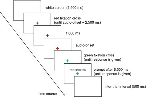 discourse comprehension and referential processing effects of