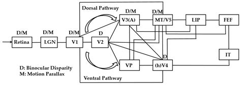 Depth Perception Based On The Interaction Of Binocular Disparity And Motion Parallax Cues In