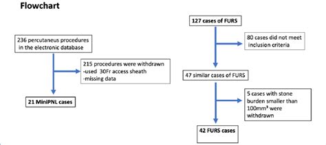 Flowchart Of Cases Selected Download Scientific Diagram