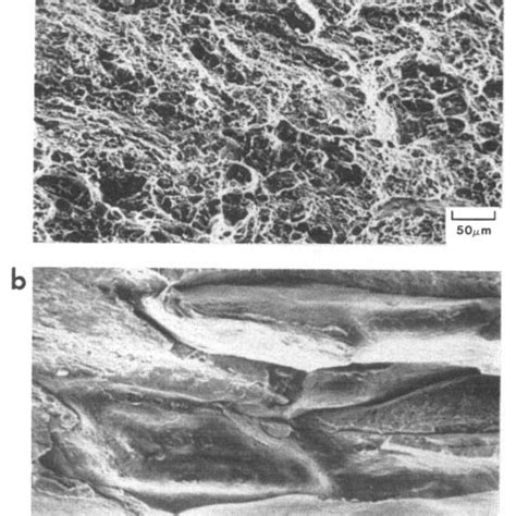 Pdf Grain Boundary Ductile Fracture In Precipitation Hardened Aluminum Alloys