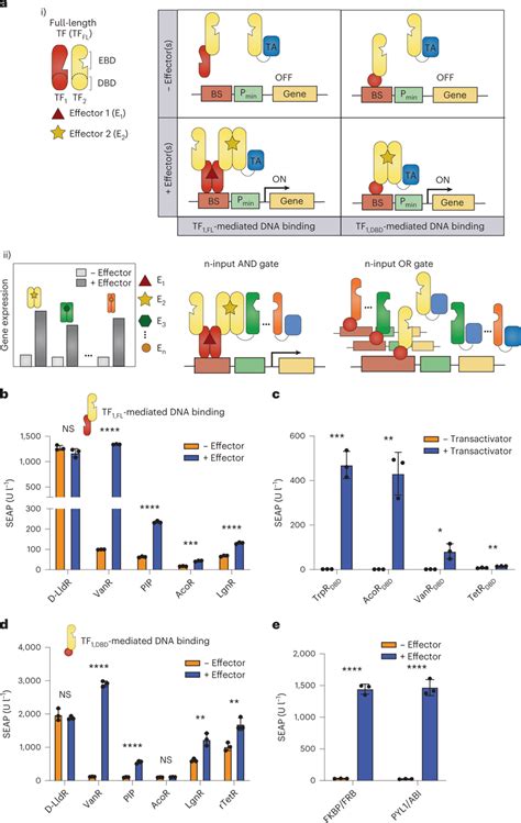 Modular Design Of Tfs A Schematic Overview Of Logic Modular Bacterial