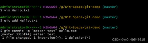 git命令 csdn博客