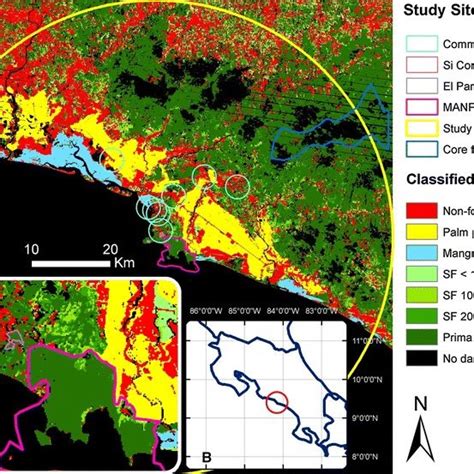Detailed Forest Classification Map Of The Study Area In The Year 2008 Detailed Forest Classification Map Of The Study Area In The Year 2008