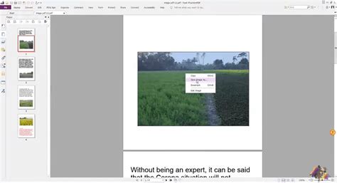 Top PDF Image Extractors Available In The Market UPDF