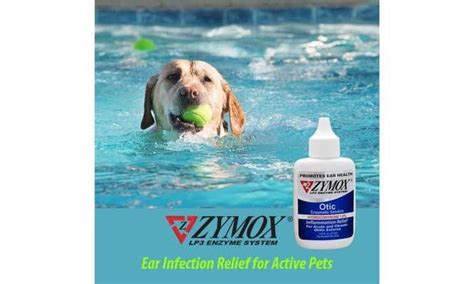 Zymox Otic Enzymatic Solution • ยาหยอดหู สำหรับน้องหมา น้องแมว ที่ขี้หู