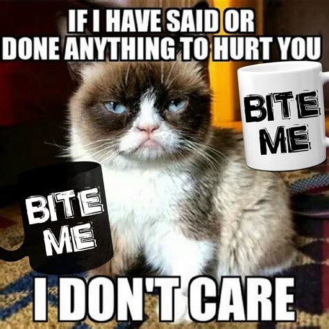 Grumpy Cat Tired Meme