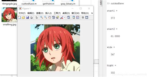 Matlab实现图像的简单裁剪 Matlab裁剪图片 Csdn博客