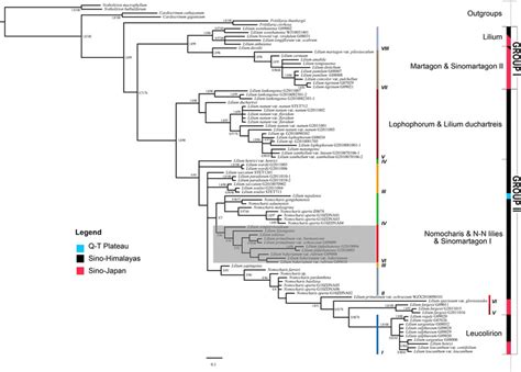 Maximum Credibility Tree Resulting From A Bayesian Analysis Of Combined