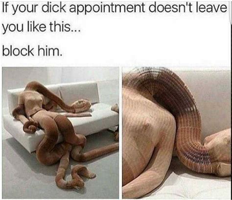 The Big Collection Of Best Funny Sex Memes