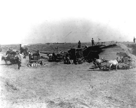 San Leandro Historical Photo Archive