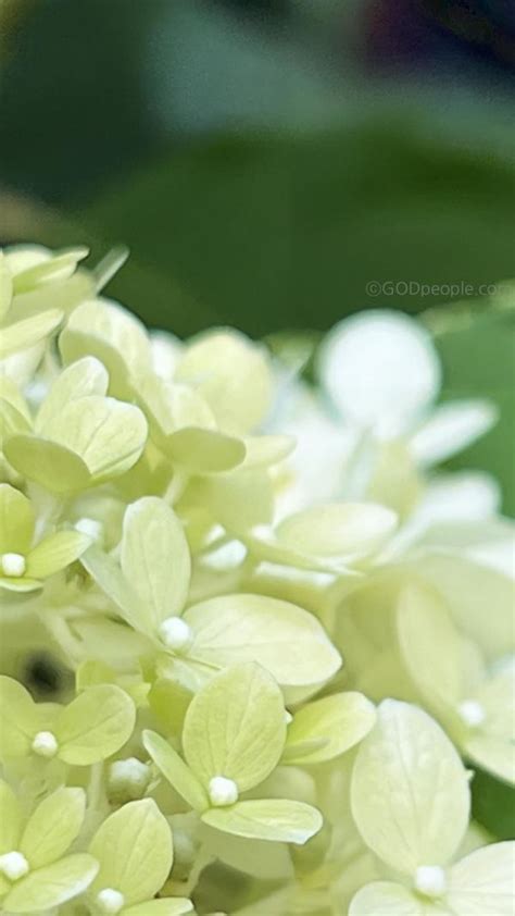 아버지께 감사 갓피플