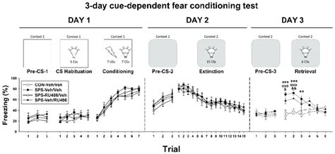 Three Day Cue Dependent Fear Conditioning Test After Sps Paradigm And