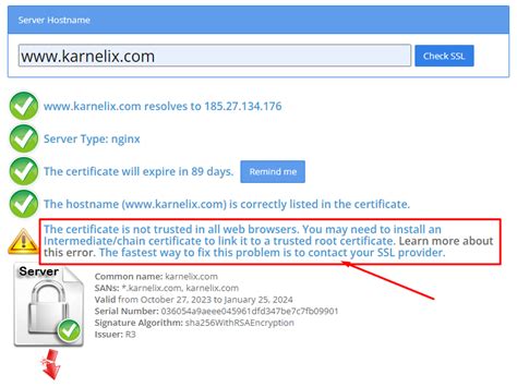 How To Fix Ssl Unrecognizedname Alert Error Hosting Support Infinityfree Forum