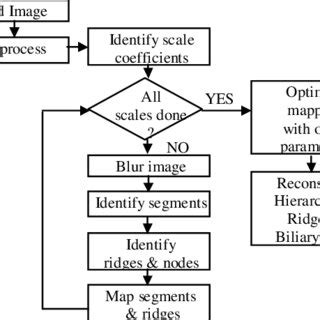 Biliary Tree Structure Detection Download Scientific Diagram Biliary Tree Structure Detection Download Scientific Diagram