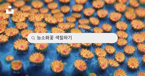 능소화꽃 색칠하기 Pictures Download Free Images On Unsplash