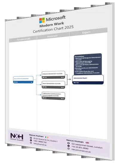 Latest Microsoft Certification Paths Nexus Human