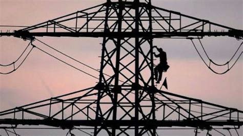 ЧЕЗ Разпределение започна проект за защита на птиците Новини бг