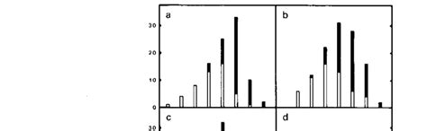 Dendritic Branching Analysis Segmental Branching Frequency