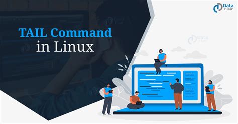 Tail Command In Linux Dataflair