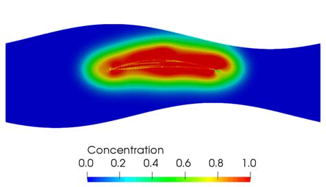 Example 1 Computed Concentration Solution Download Scientific Diagram