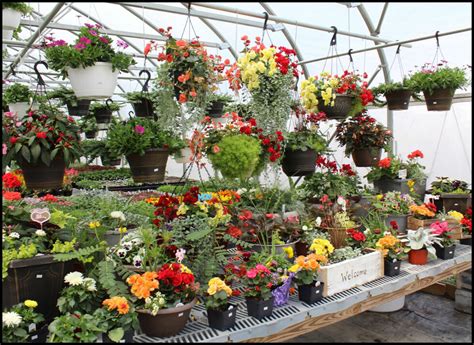 Swampy Hollow Greenhouse Just Plain Business