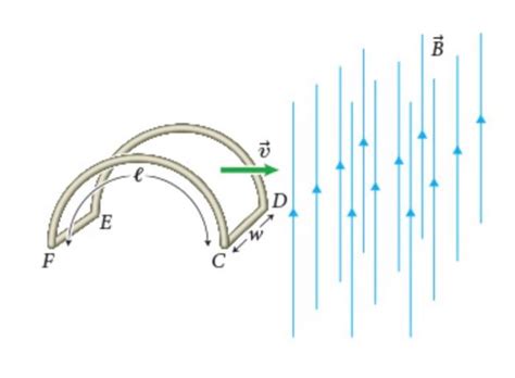Solved A Rectangular Loop Of Wire Is ℓ 800 Mm Long And W 500