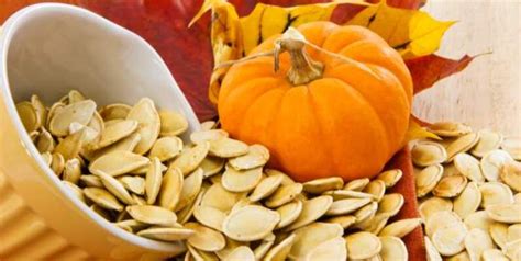 Pumpkin Seeds Dataset Kaggle