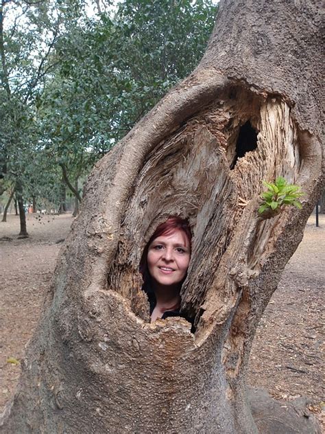Woman Tree Free Photo On Pixabay Pixabay