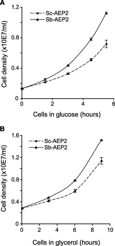 Sc Aep2 Cannot Fully Rescue The Growth Defect Of S Bayanus Aep2