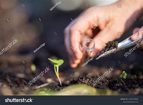 Nutrient Test Soil Images Stock Photos D Objects Vectors Shutterstock