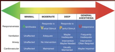 Anesthesia Flashcards Quizlet