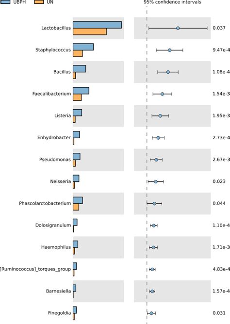 The Impact Of Urine Microbiota In Patients With Lower Urinary Tract Symptoms Pmc
