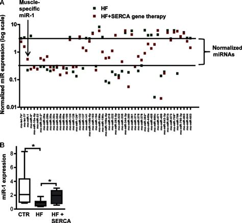 a and b mirna expression profiling in pooled rna samples from left