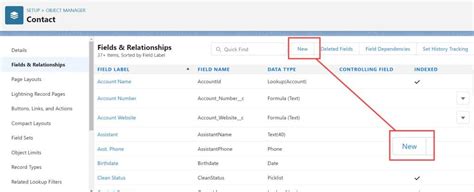 Salesforce Phone Data Type